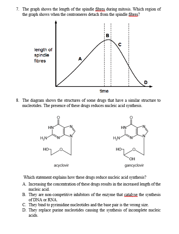 Solved 7. The graph shows the length of the spindle fibres | Chegg.com