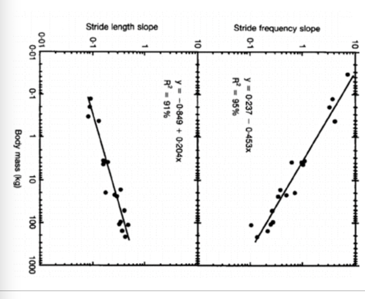 In a 1990 study, researchers measured the stride | Chegg.com