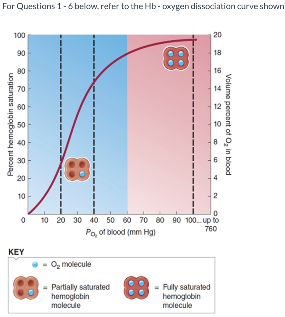 Solved 1) The affinity of Hb for oxygen changes based | Chegg.com