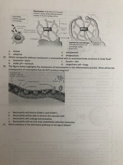 Solved Which of the following would be considered | Chegg.com