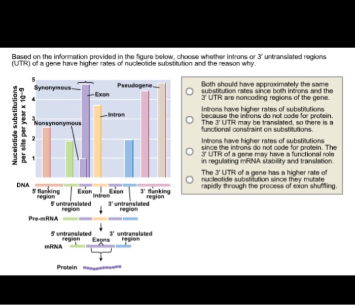 Solved Based on the information provided in the figure | Chegg.com
