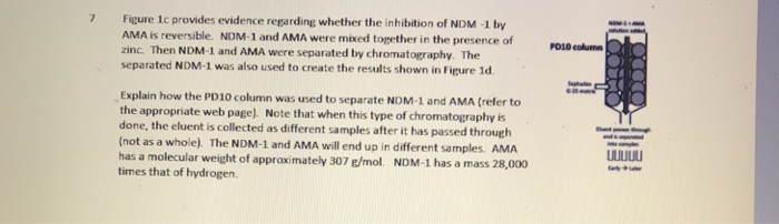 7 Figure 1c provides evidence regarding whether the | Chegg.com