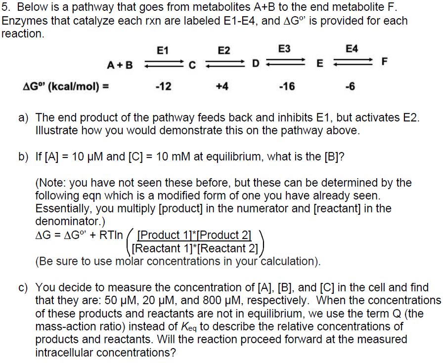 Below is a pathway that goes from metabolites A+B ﻿to | Chegg.com