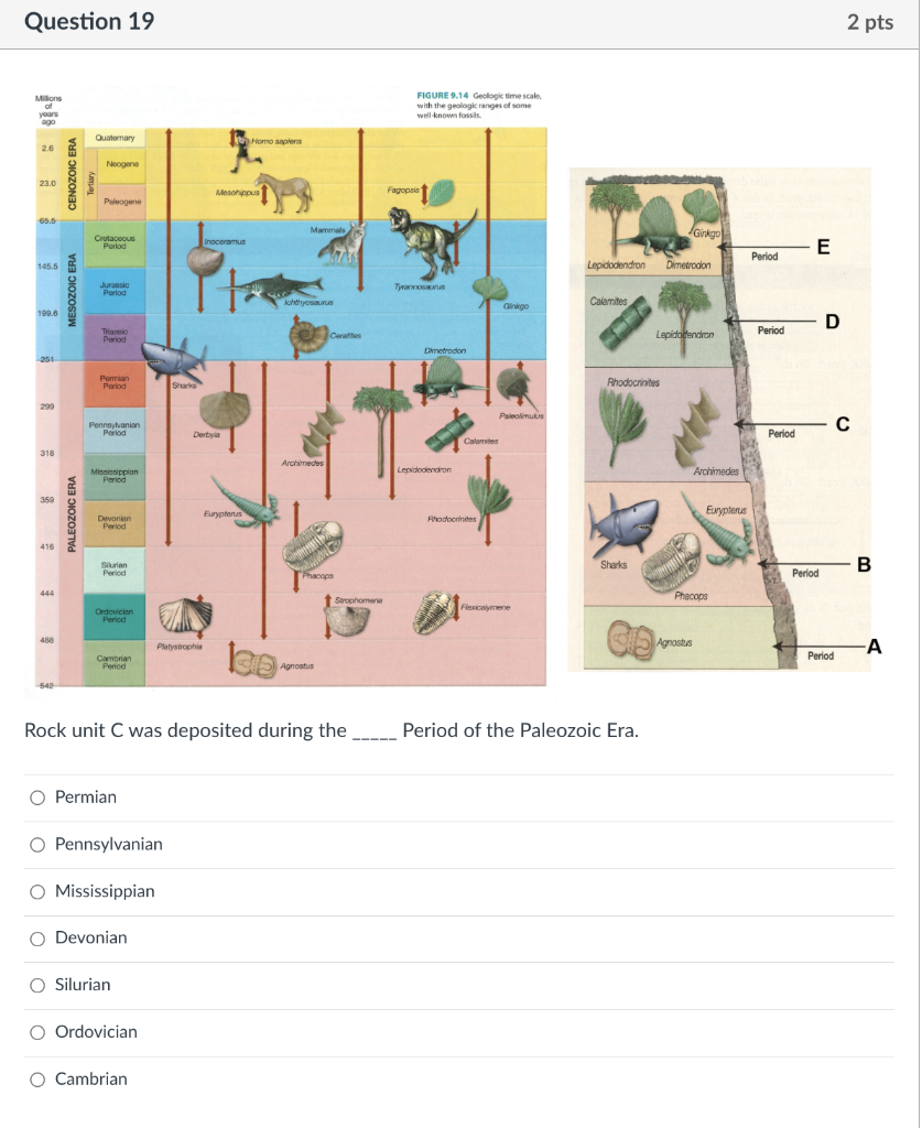 Solved Millions of years ago FIGURE 9.14 Geologic time | Chegg.com