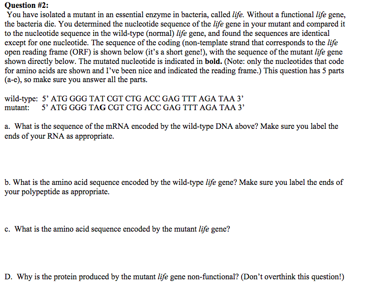 Solved You have isolated a mutant in an essential enzyme in | Chegg.com
