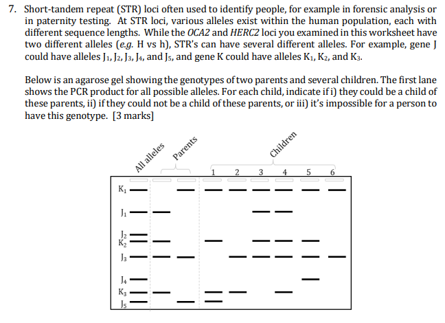 Solved 7. Short-tandem repeat (STR) loci often used to | Chegg.com