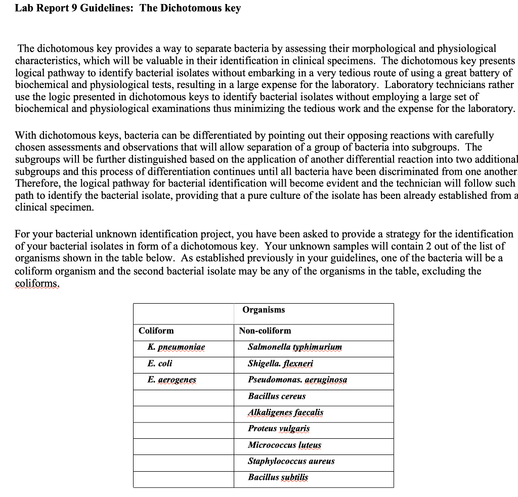 Solved For your bacterial unknown identification project, | Chegg.com