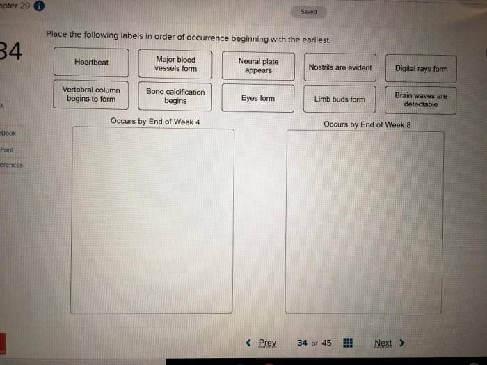 Solved pter 29 Saved Place the following labels in order of | Chegg.com