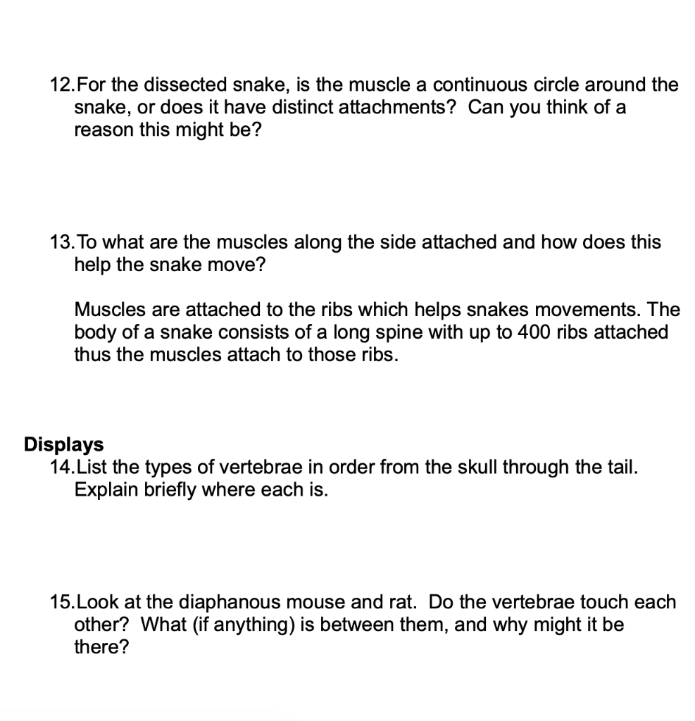 Solved 12.For the dissected snake, is the muscle a | Chegg.com