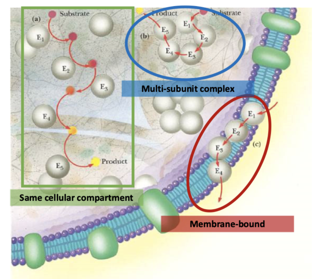 Solved This is a question from a previous year to help me | Chegg.com