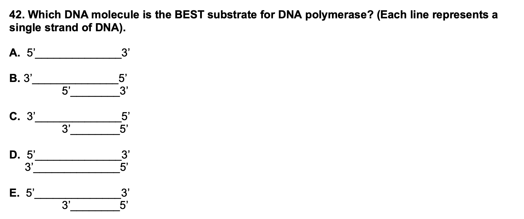 Solved 42. Which DNA molecule is the BEST substrate for DNA | Chegg.com