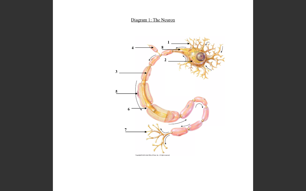 Solved 1. Identify the three major parts of a typical | Chegg.com