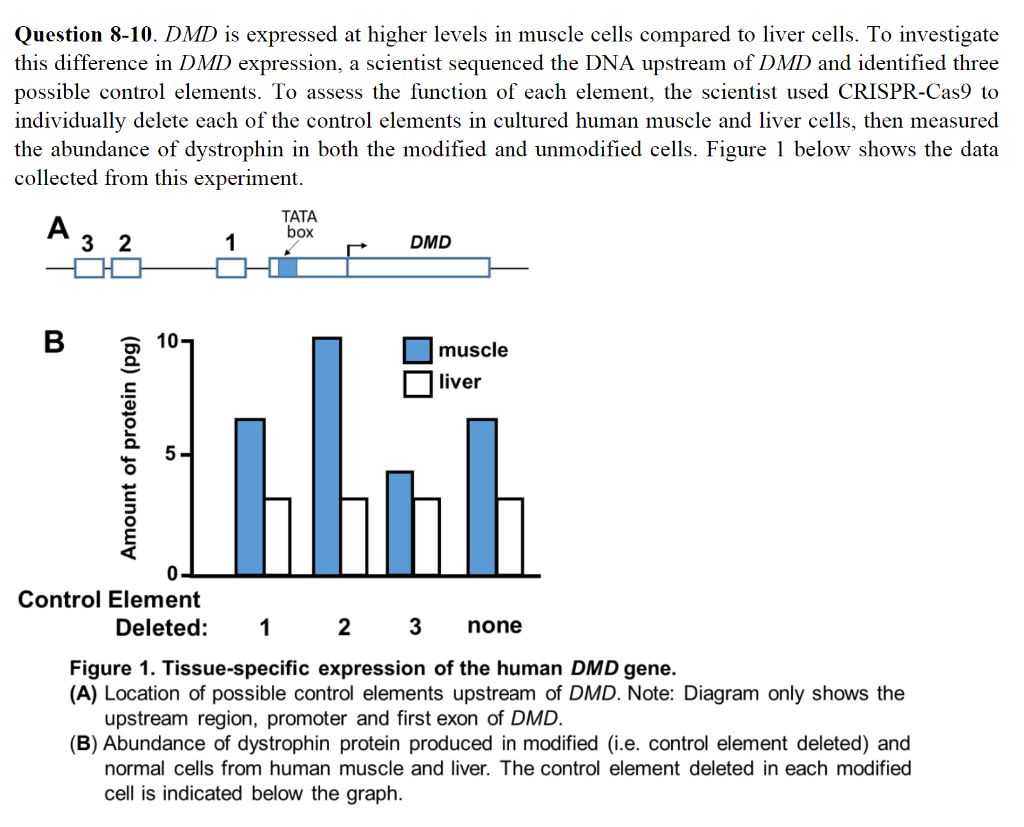 Solved Question 8-10. DMD is expressed at higher levels in | Chegg.com