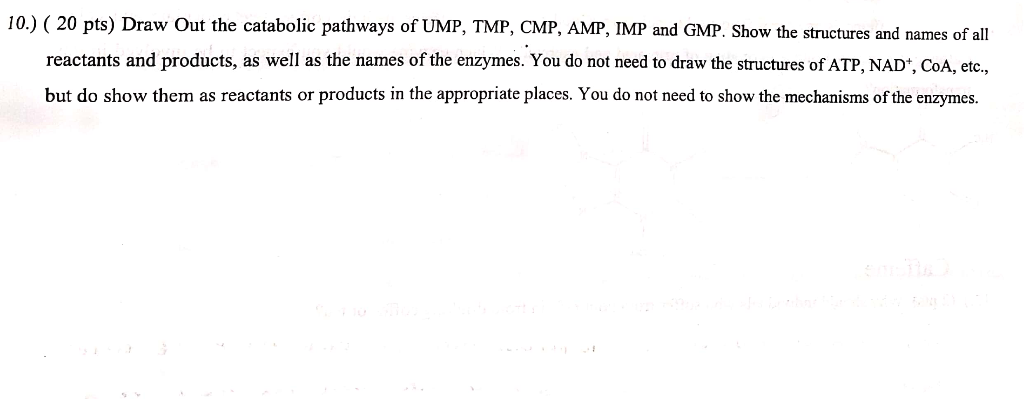 Solved 10.) (20 pts) Draw Out the catabolic pathways of UMP, | Chegg.com