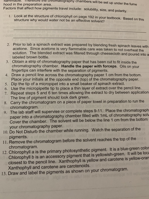Solved NAME LAB 15: PHOTOSYNTHESIS-Chromatography, | Chegg.com