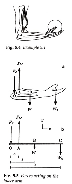 Solved Problem 5.1 Consider a person holding an object in | Chegg.com