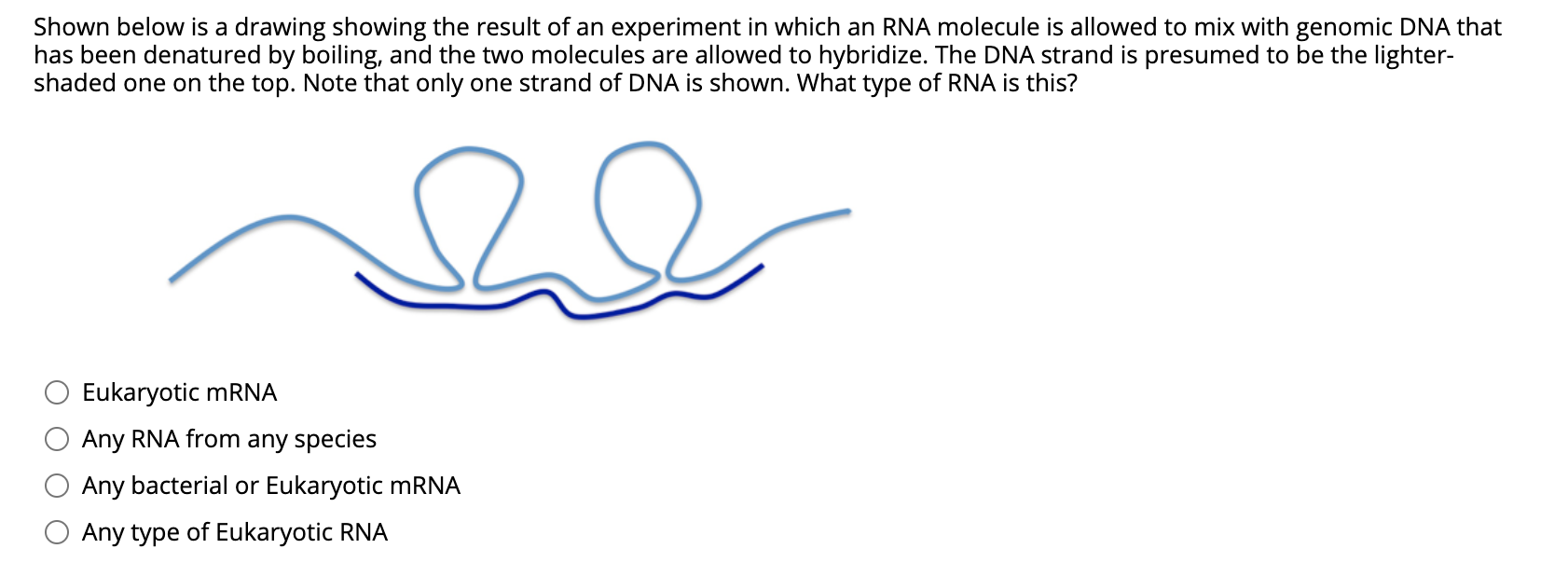 Solved Shown below is a drawing showing the result of an | Chegg.com