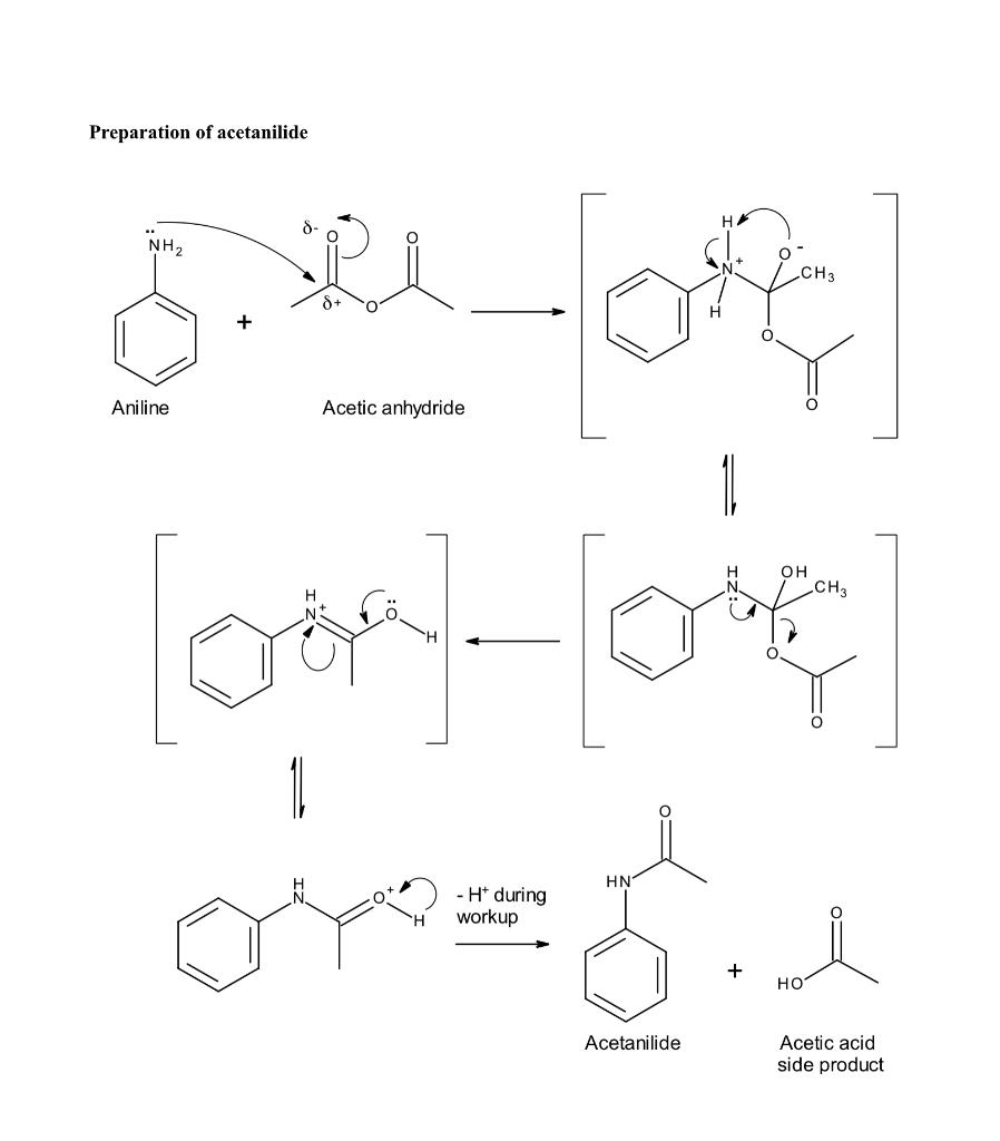 Solved Preparation of acetanilide Aniline Acetic anhydride | Chegg.com