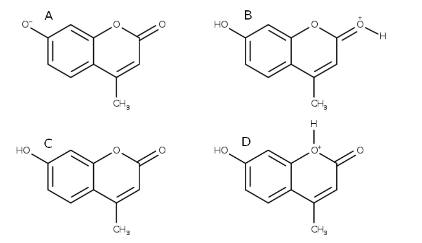 Solved A mixture of chloroform (density 1.56 g/mL) and water | Chegg.com