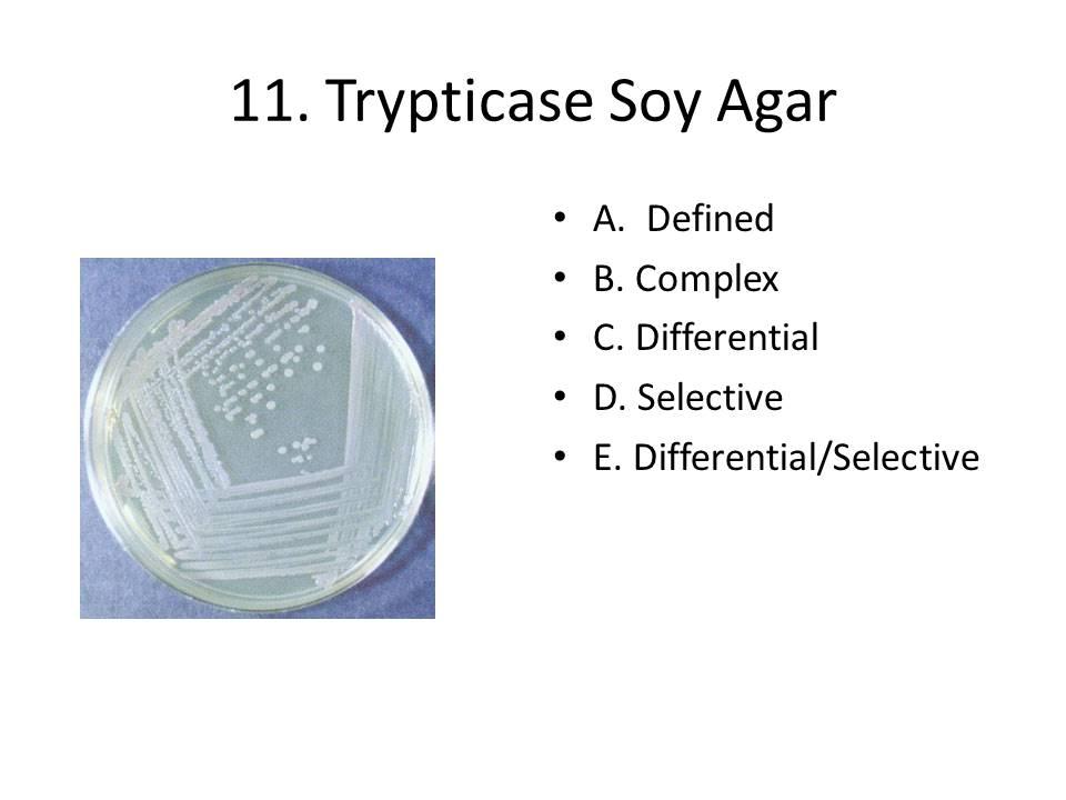 Solved 11. Trypticase Soy Agar • A. Defined . B. Complex • | Chegg.com