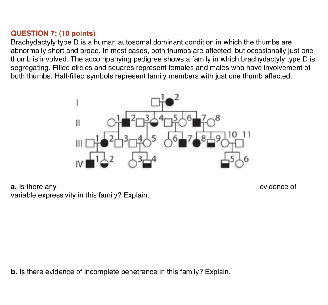 Solved QUESTION 7: (10 ﻿points) ﻿Brachydactyly type D is a | Chegg.com
