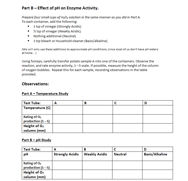 SBI4U Biology: Enzyme Activity Lab Introduction: Many | Chegg.com