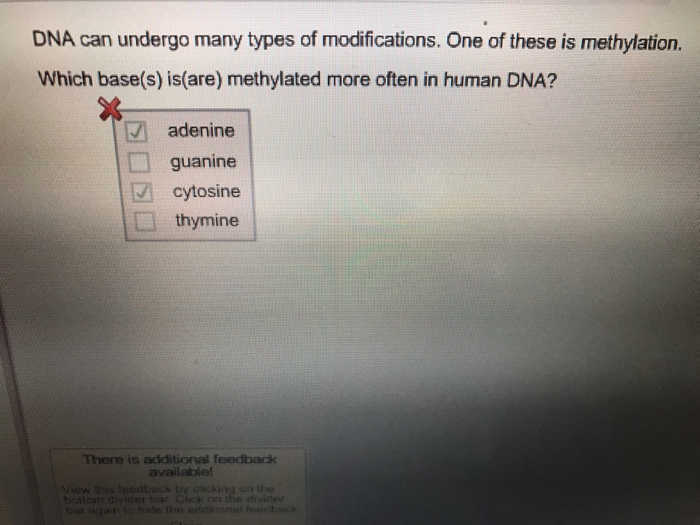 Solved DNA can undergo many types of modifications. One of | Chegg.com