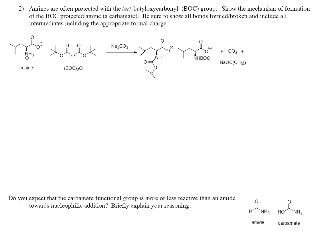Solved 2) Amines are often protected with the | Chegg.com