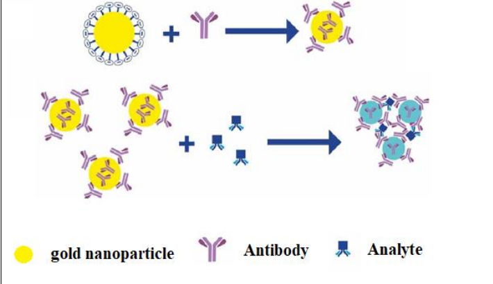 Solved A Colorimetric Detection System Has Been Developed