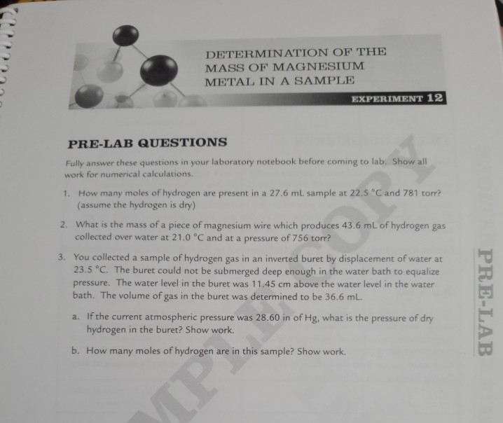 Solved DETERMINATION OF THE MASS OF MAGNESIUM METAL IN A | Chegg.com