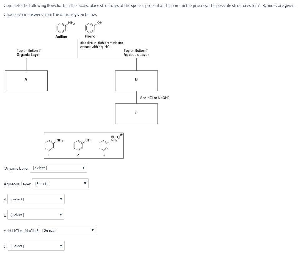 Solved Complete the following flowchart. In the boxes, place | Chegg.com