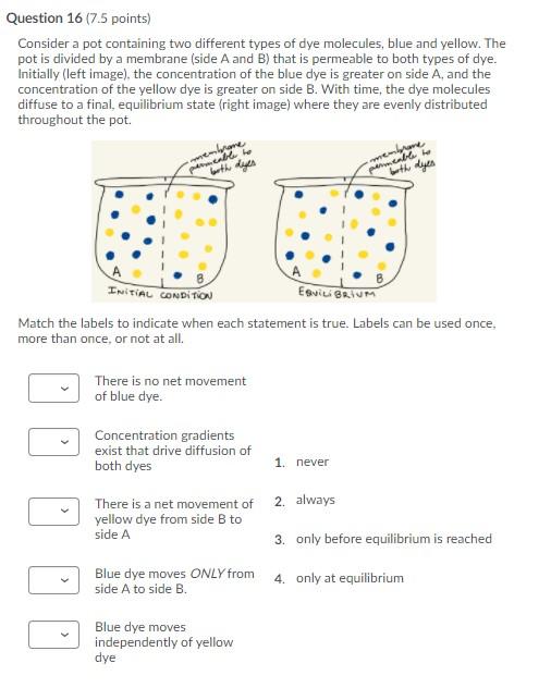 Solved Question 16 (7.5 points) Consider a pot containing | Chegg.com