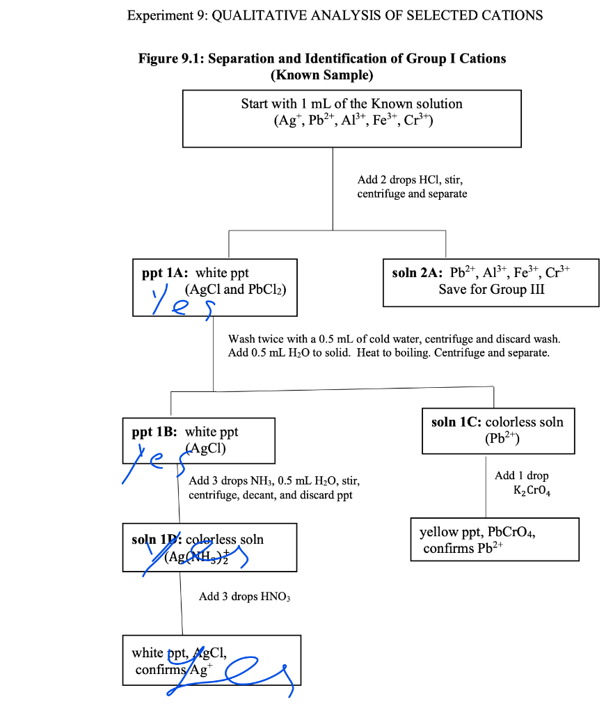 Solved Experiment 9: QUALITATIVE ANALYSIS OF SELECTED | Chegg.com
