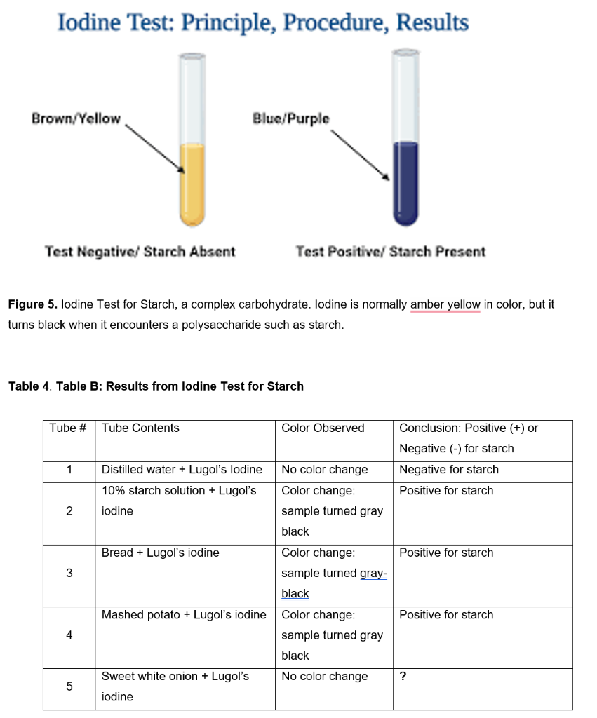 Iodine Test Definition Objective Principle Procedure 58 OFF