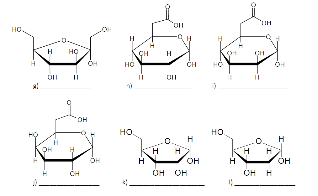 Solved g) h) i) HH j) k) l) | Chegg.com