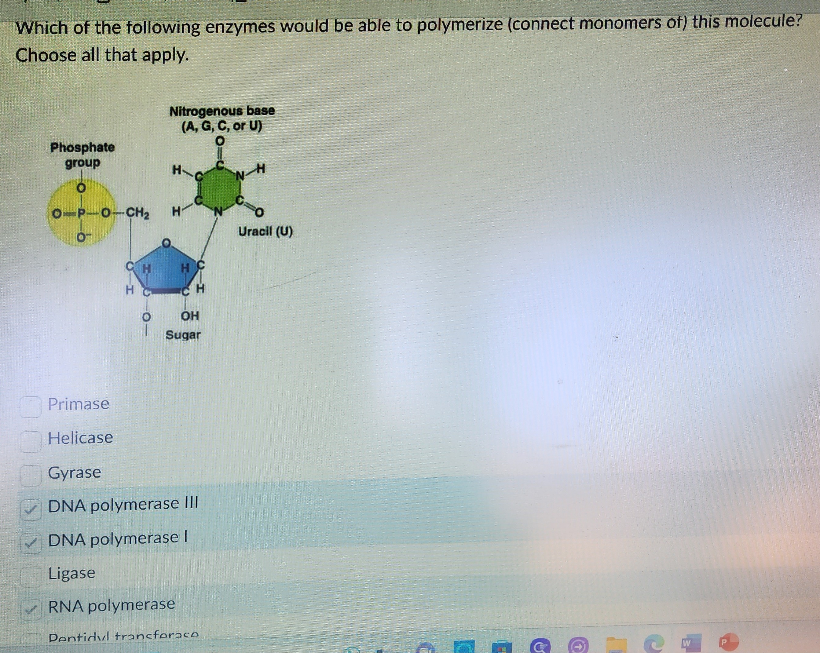 Solved Which of the following enzymes would be able to | Chegg.com