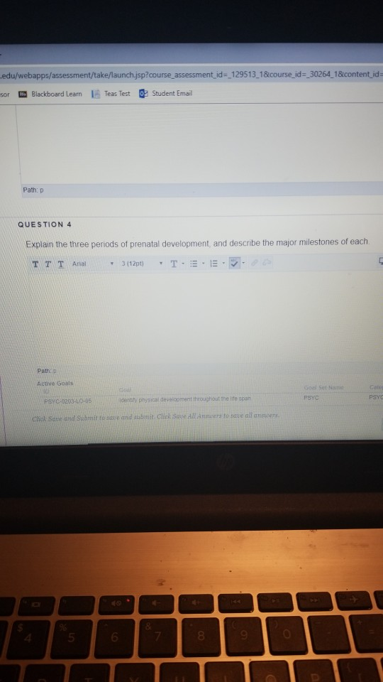 Solved edu/webapps/assessment/take/launchjsp?course | Chegg.com