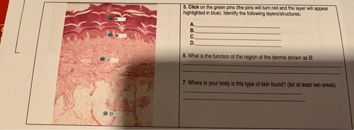 Solved 5. Click on the green pins (the pins will turn red | Chegg.com