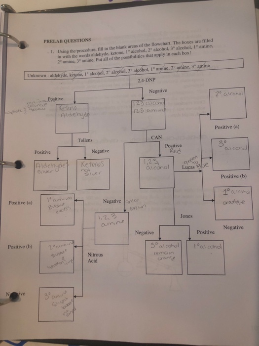 Solved PRELAB QUESTIONS Using the procedure, fill in the | Chegg.com