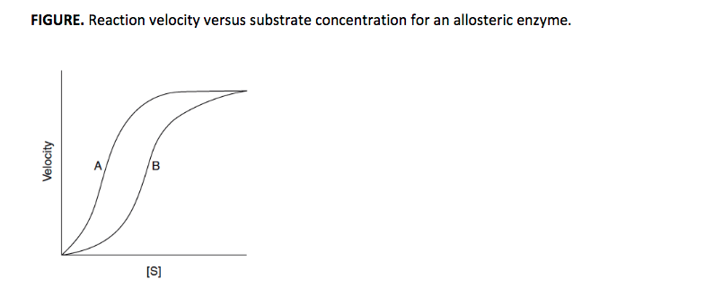 Solved 2. The dependence of the reaction velocity on the | Chegg.com