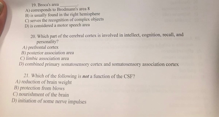 Solved 19. Broca's area A) corresponds to Brodmann's area 8 | Chegg.com