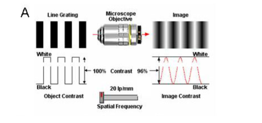 Line Grating Microscope Objective Image Iliālu! White | Chegg.com