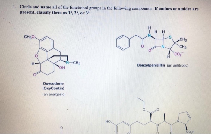 Solved 1. Circle and name all of the functional groups in | Chegg.com