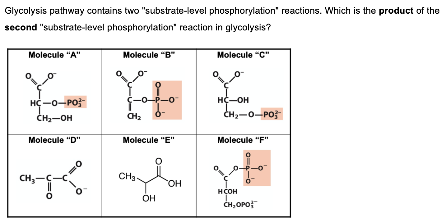 Solved Glycolysis pathway contains two "substrate-level | Chegg.com