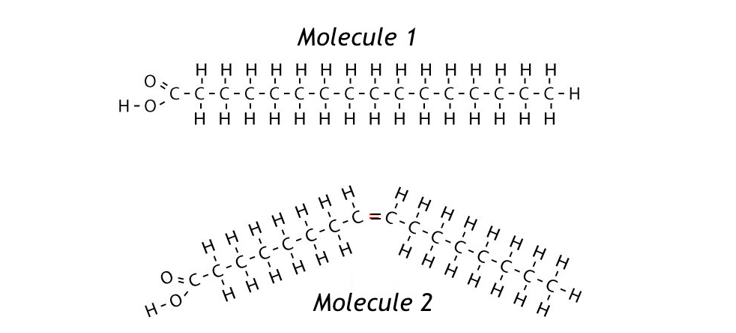 Solved Match each molecule pictured below to the correct | Chegg.com