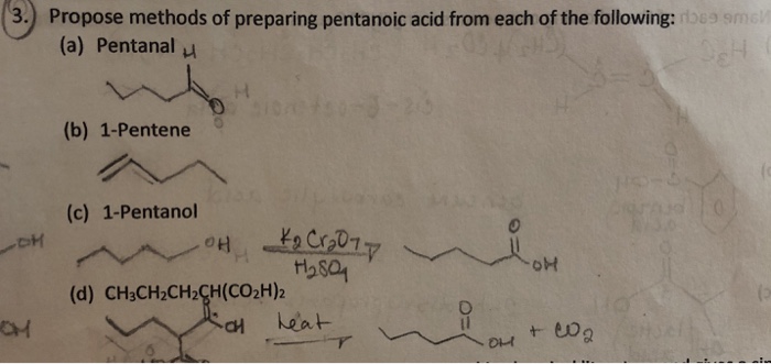 Solved 3.) Propose methods of preparing pentanoic acid from | Chegg.com