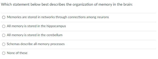 Solved Which statement below best describes the organization | Chegg.com