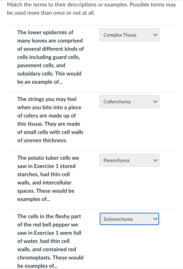 Solved Match the terms to their descriptions or examples. | Chegg.com