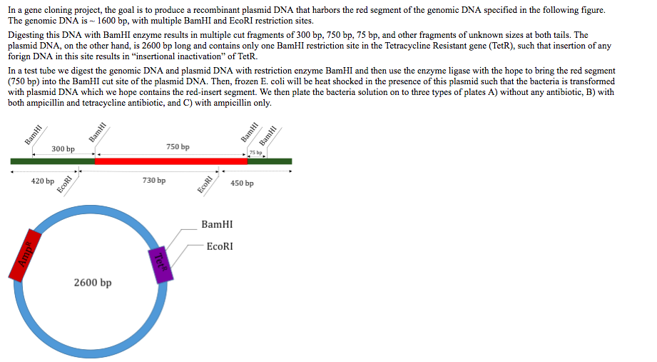 Solved In a gene cloning project, the goal is to produce a | Chegg.com