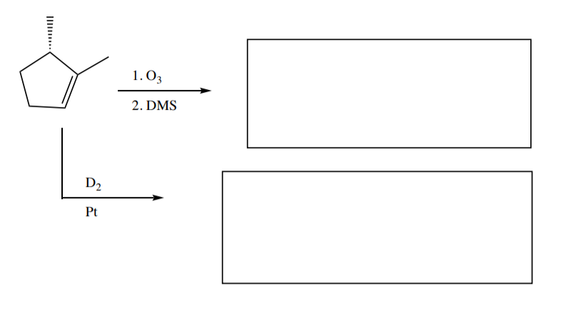 Solved 1.03 2. DMS D2 Pt | Chegg.com